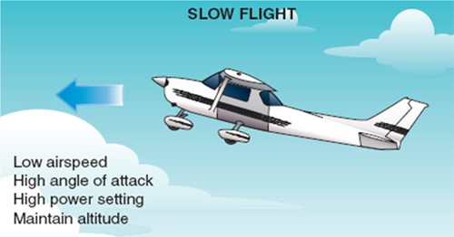 Flight Training 103 - Michi's Adventures